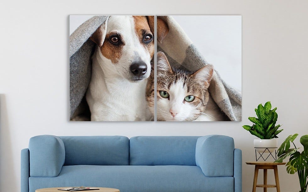 Split Canvas Prints | Multi Panel Canvas Wall Art