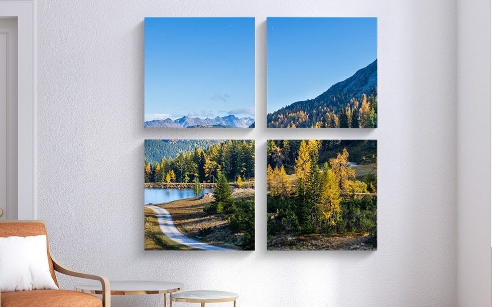 Split Canvas Prints | Multi Panel Canvas Wall Art